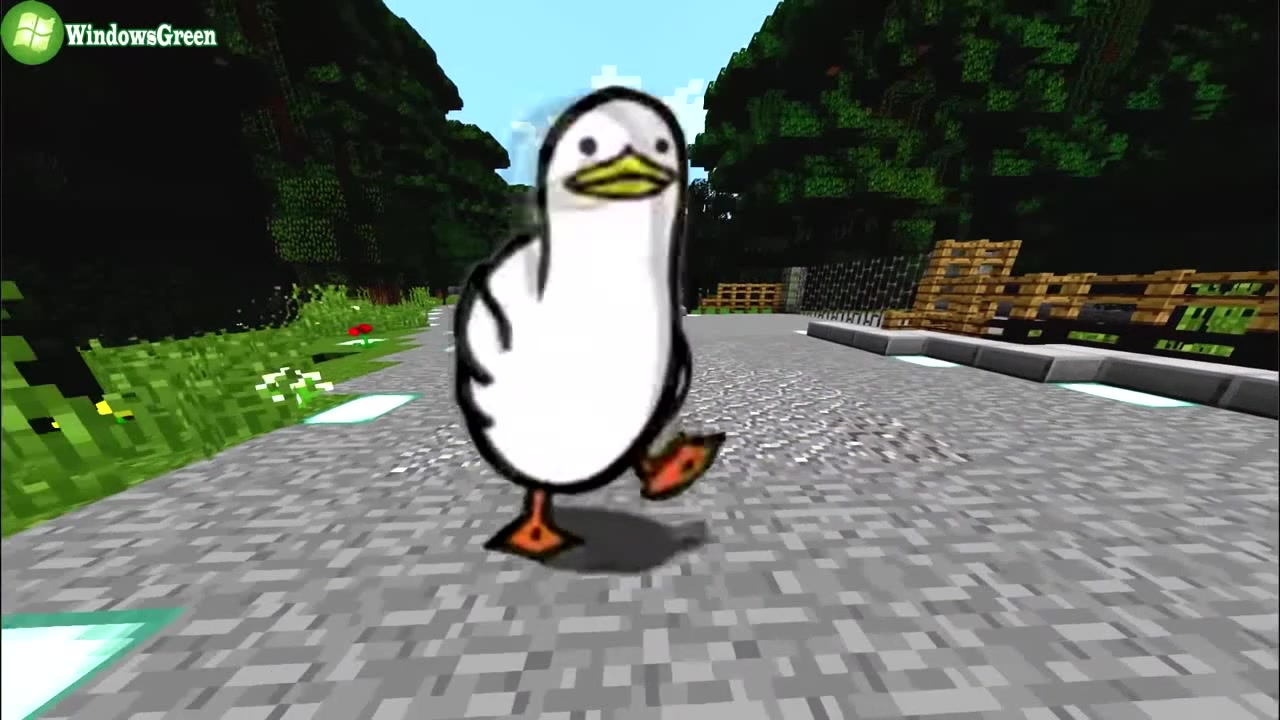Cool Walking Duck - Coub