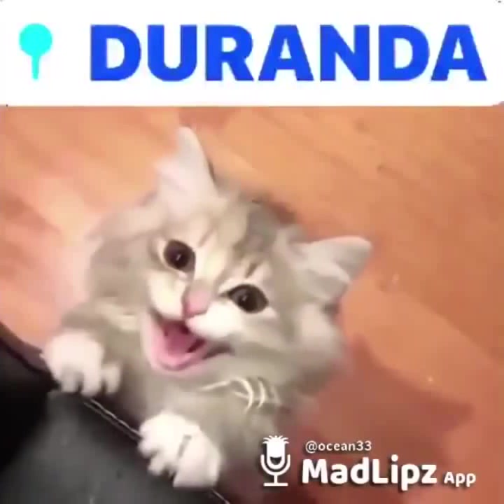 Duranda EZEN.... - Coub