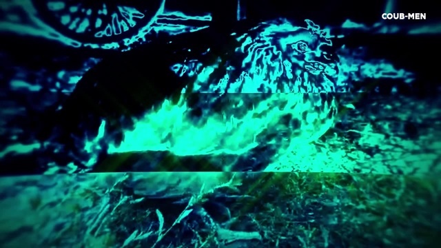 CHICKEN STYLE 🍗 - Coub