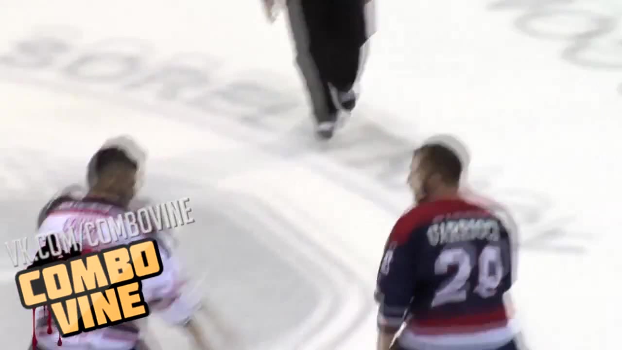 Combo Vine #552 - Coub