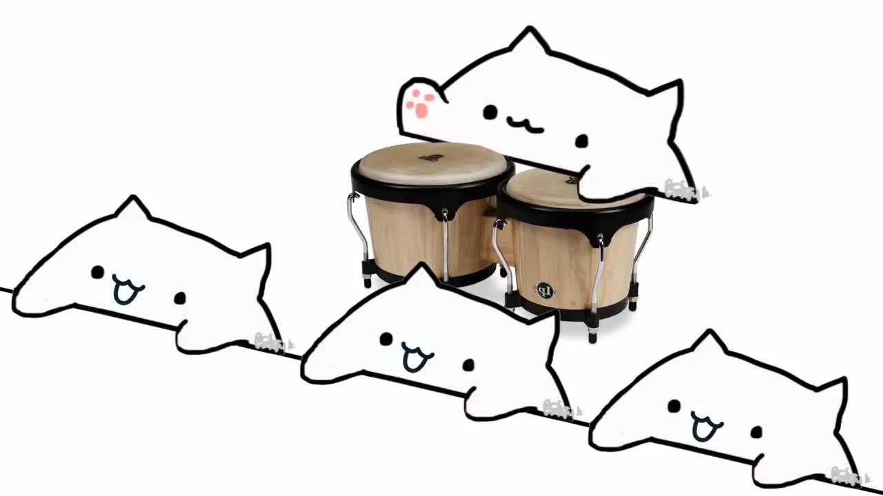 Bongo Cat: Halo Theme - Coub