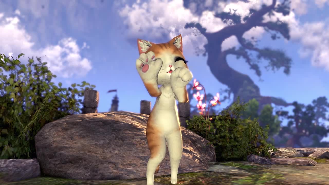 Choose your cat 1 - Coub