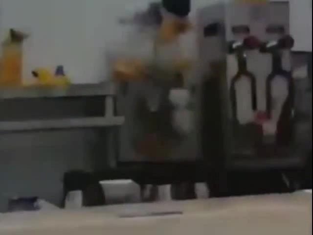 hard working duck - Coub