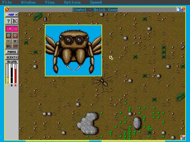 Sim Ant - Gameplay - Coub