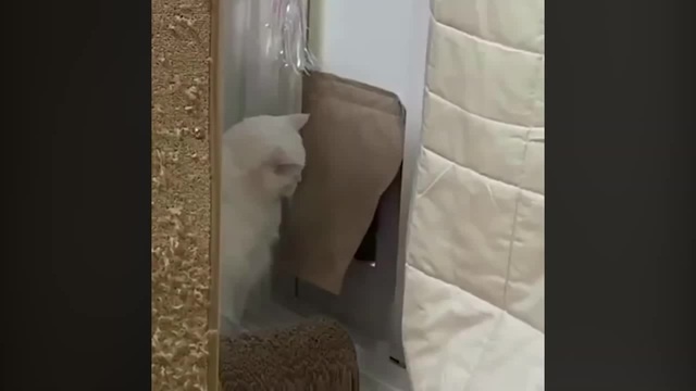 hl cats escape the freezer | Half-Life SFX - Coub