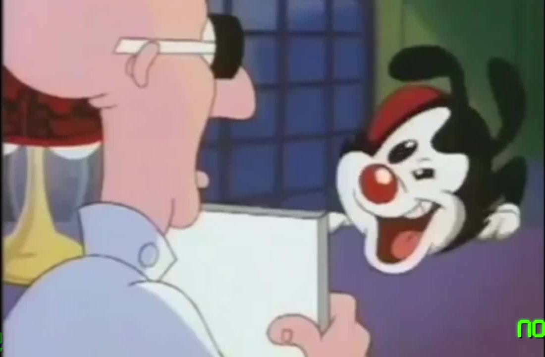 33 Adult Jokes From "Animaniacs" You Totally Missed As A Kid - Coub