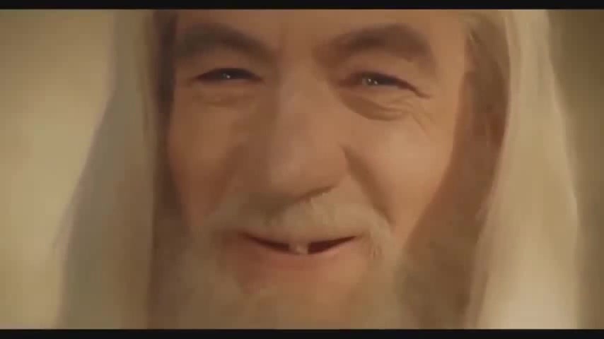 Ret*rded Frodo - Coub