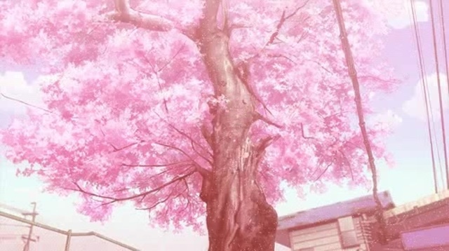 falling leaves - Coub