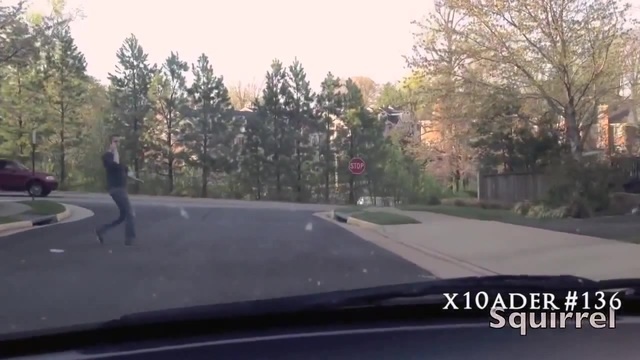 push the tempo - Coub