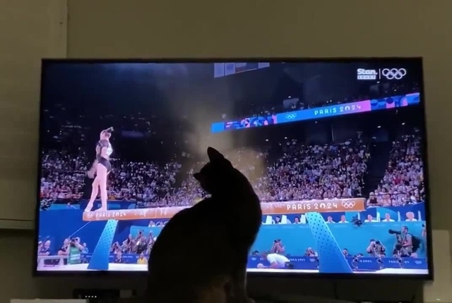 The secret of failure has been revealed - Coub