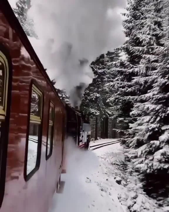 winter train - Coub