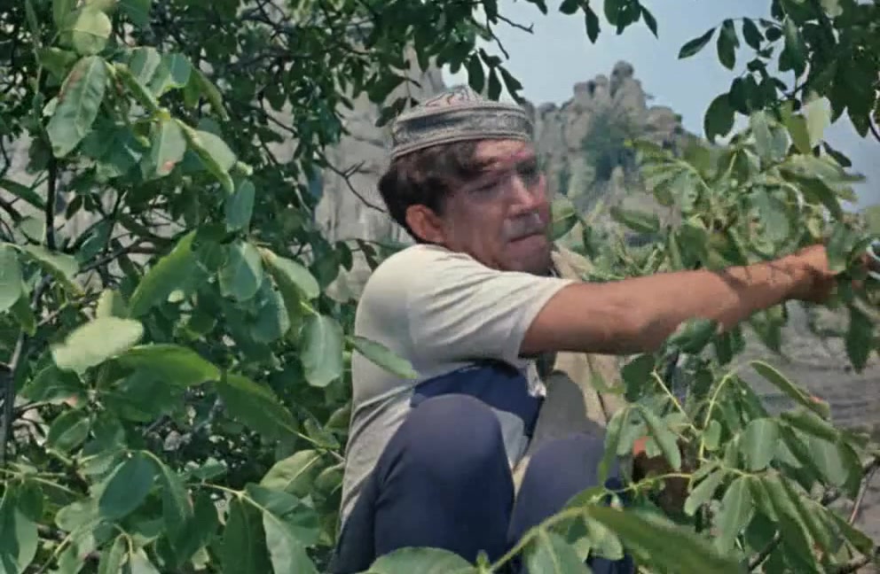 killer lvl 80 - Coub