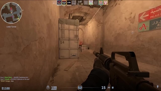 Counter-Strike 2 - Coub