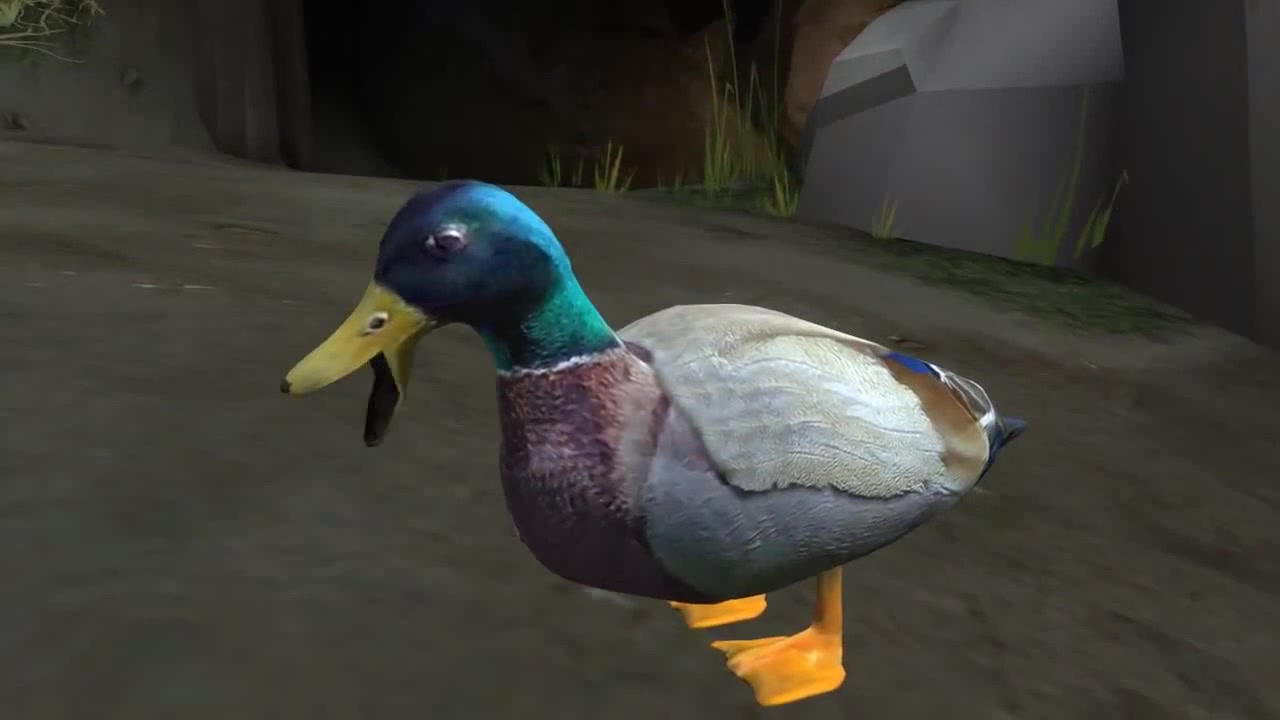 [SFM] Duck.exe has stopped working - Coub