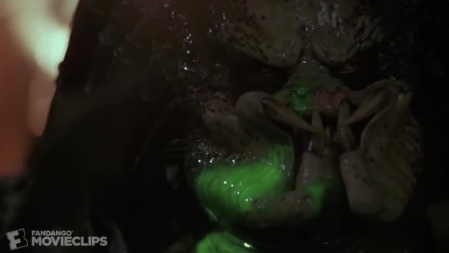 Just keep on tapping and be happy #probablynothing - Coub