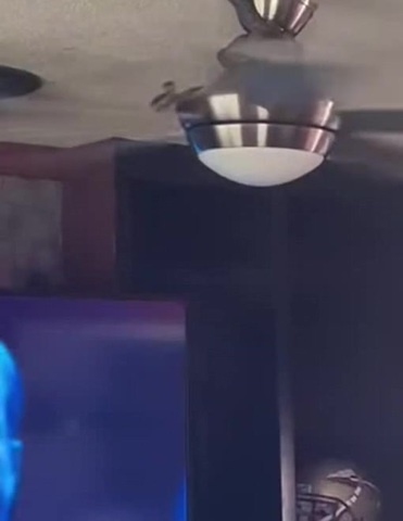 ceiling fan snake - Coub