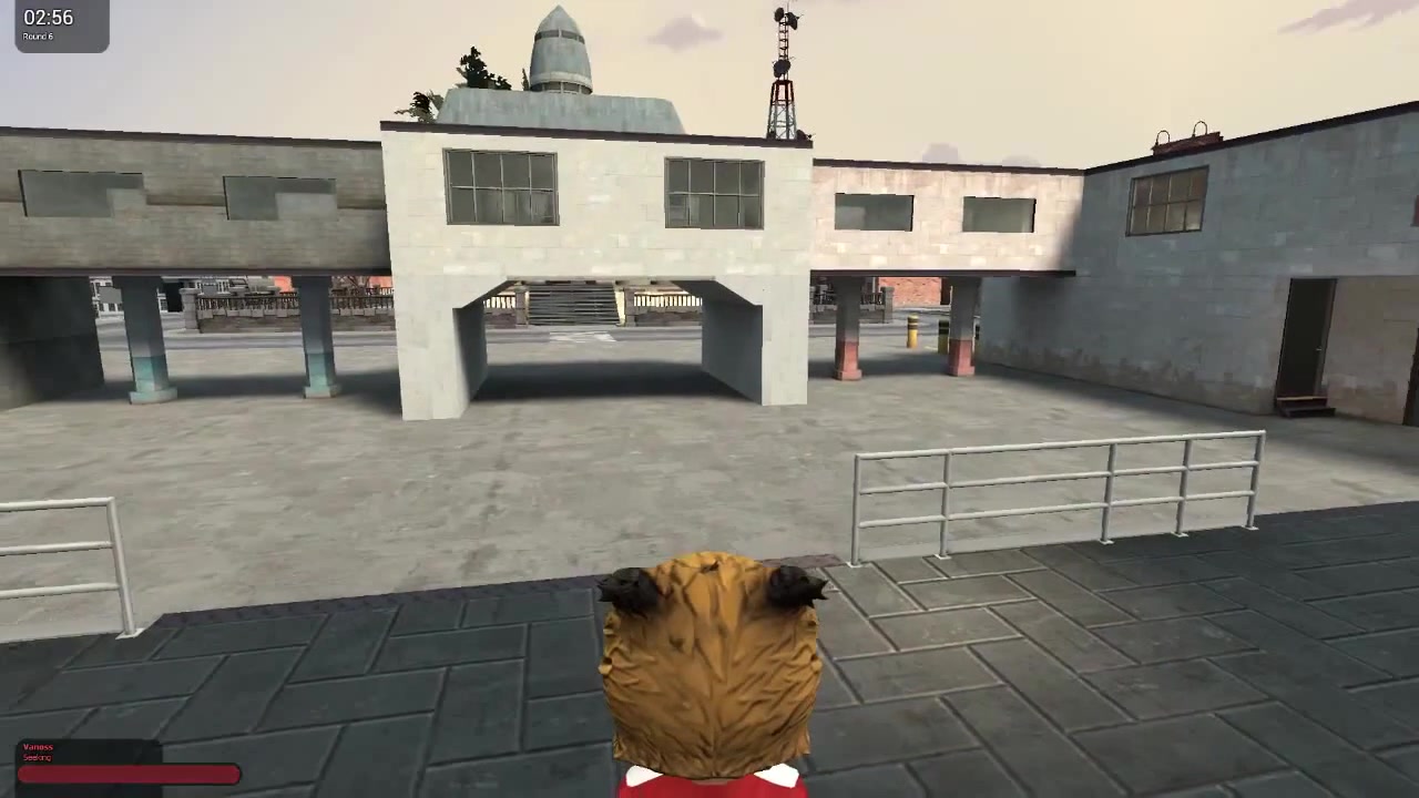 Gmod Hide and Seek - Racoon Bird! (Garry's Mod) - Coub