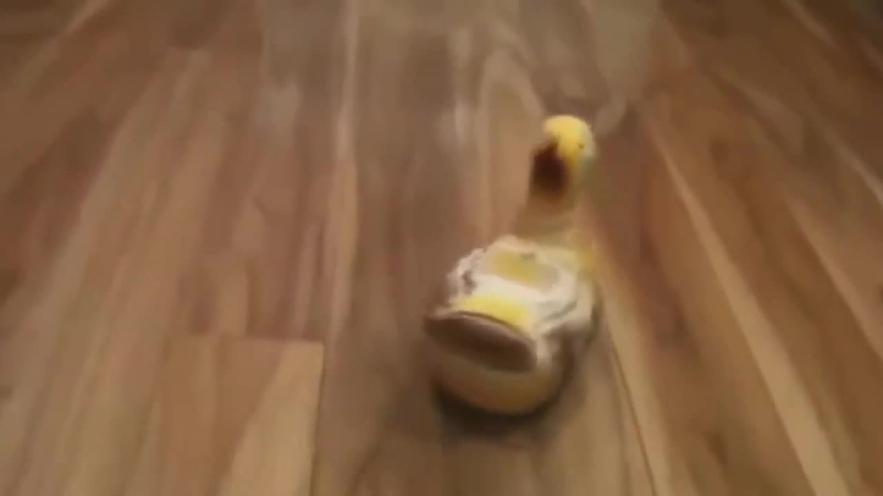 Dangerous toy - Coub