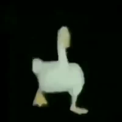 Dill the duck - Coub