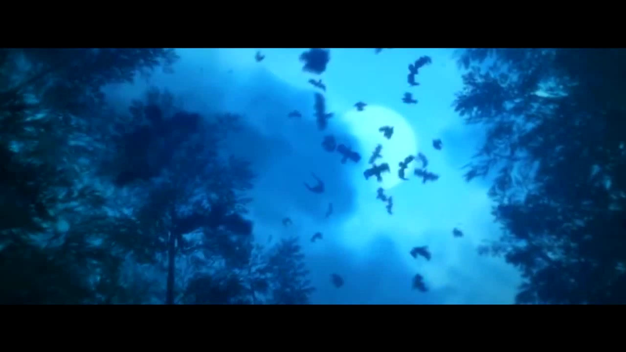 Master of Devil Cult - Coub