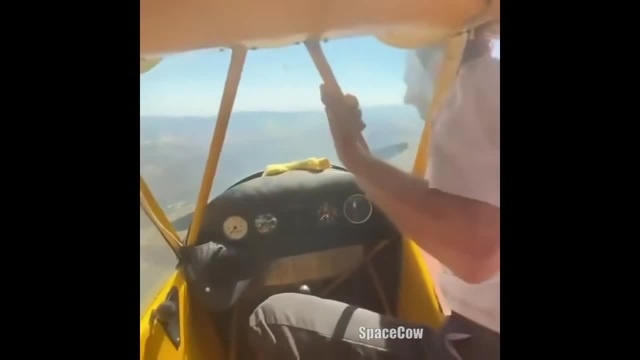 Microsoft Flight Simulator - Coub