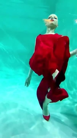 Birth Metaphor - Coub