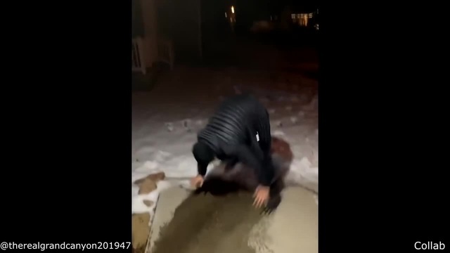Longest time to not slip on ice - Coub
