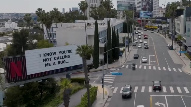 BUGS KILL YOU dont be afraid - Coub