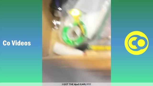 Ultimate Shark Puppet Vines Skits 2020 | Funny Shark Puppet Vine Videos ...