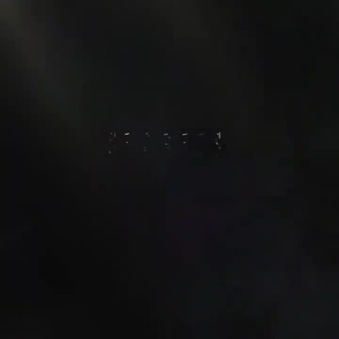 This owl saw some shit - Coub