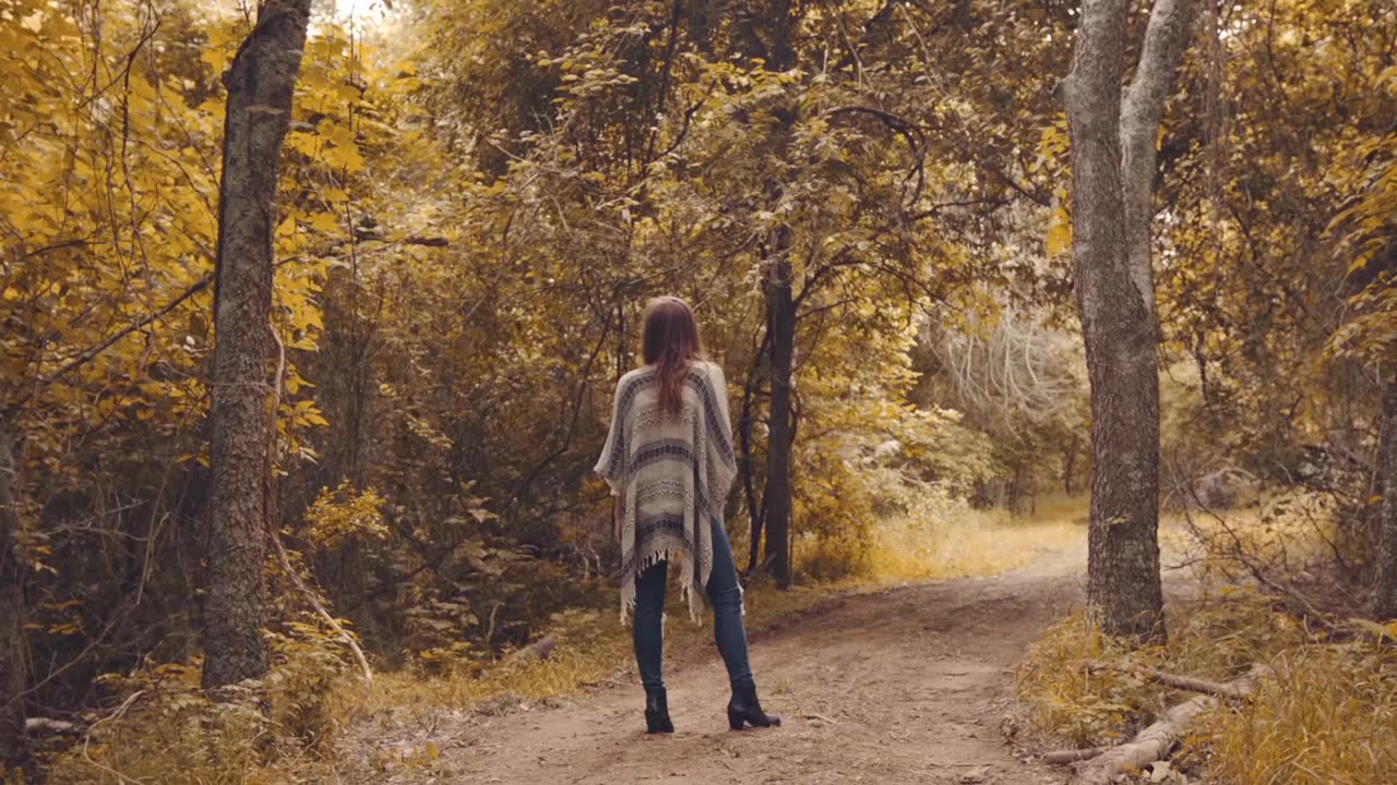 Autumn Sadness - Coub