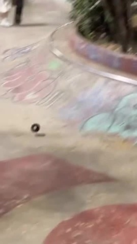 agent Good Boy - Coub