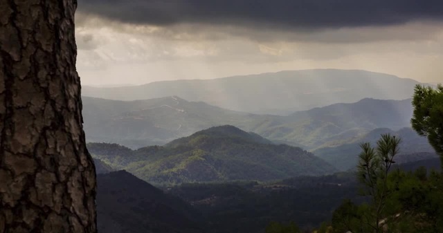 in the embrace of infinity - Coub