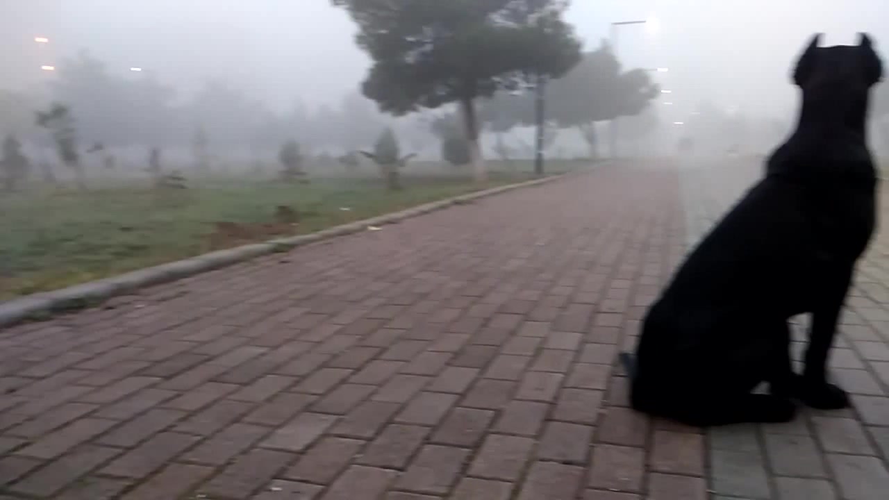 mine