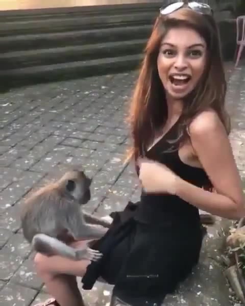 lol 😂 crazy monkey 🐒 - Coub