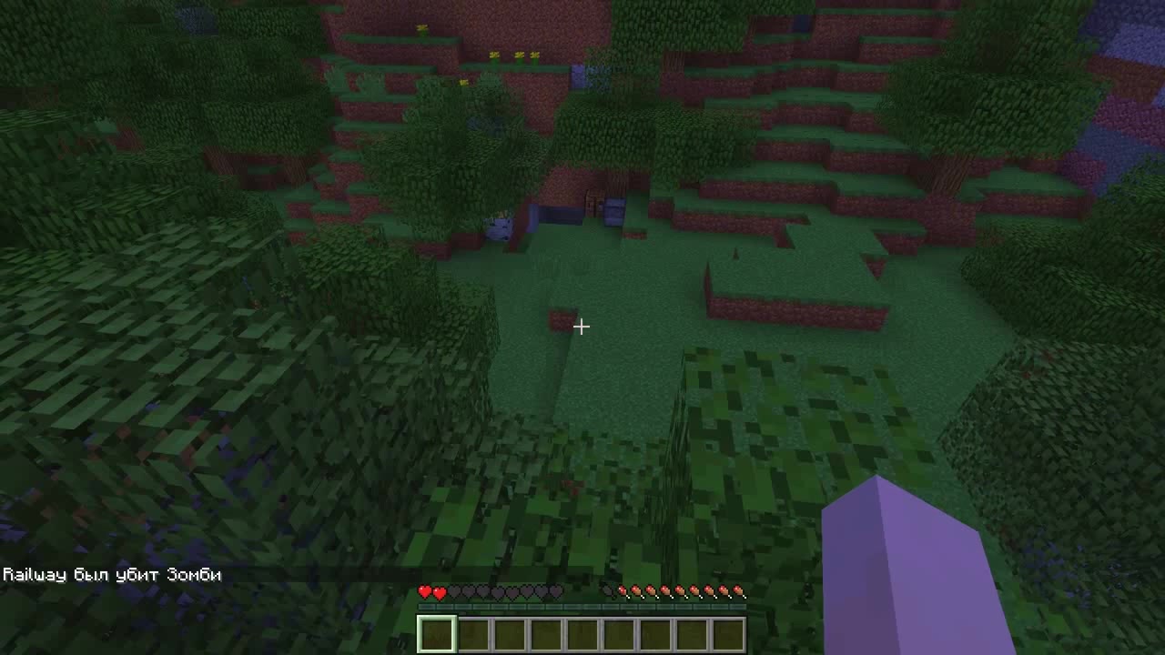 FACEPALM MINECRAFT - Coub