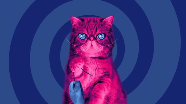 Hypnocat - Coub