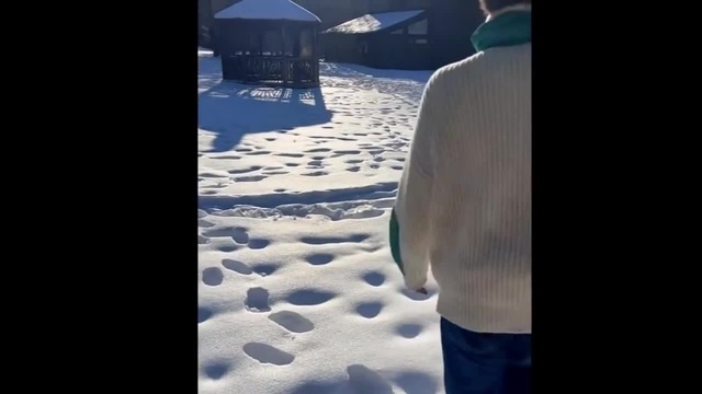 Five Point Palm Exploding Heart Technique - Coub