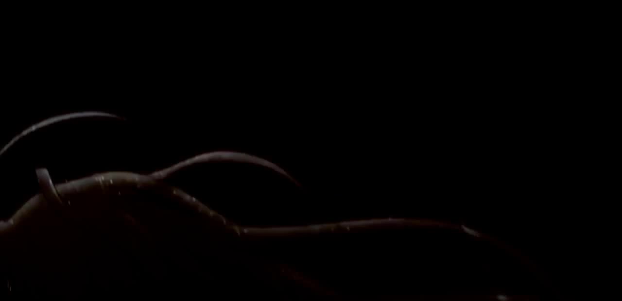 Violet Evergarden I Serial Killer - Coub