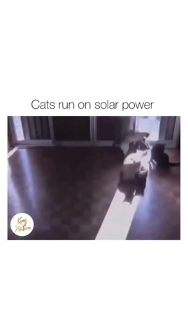 Do you feel the same - Coub