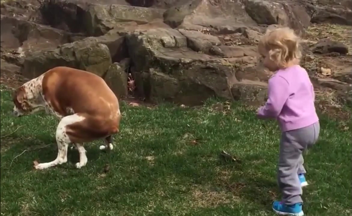 Great Job Pooping! - Coub