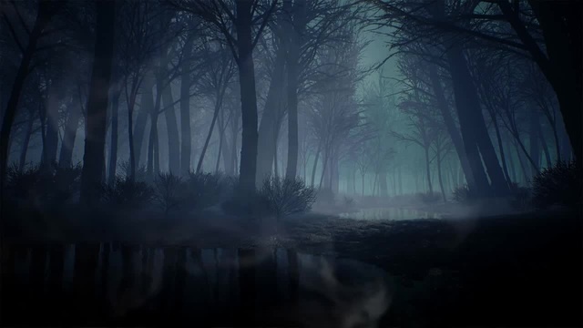 𝔉𝔬𝔯𝔢𝔰𝔱 - Coub