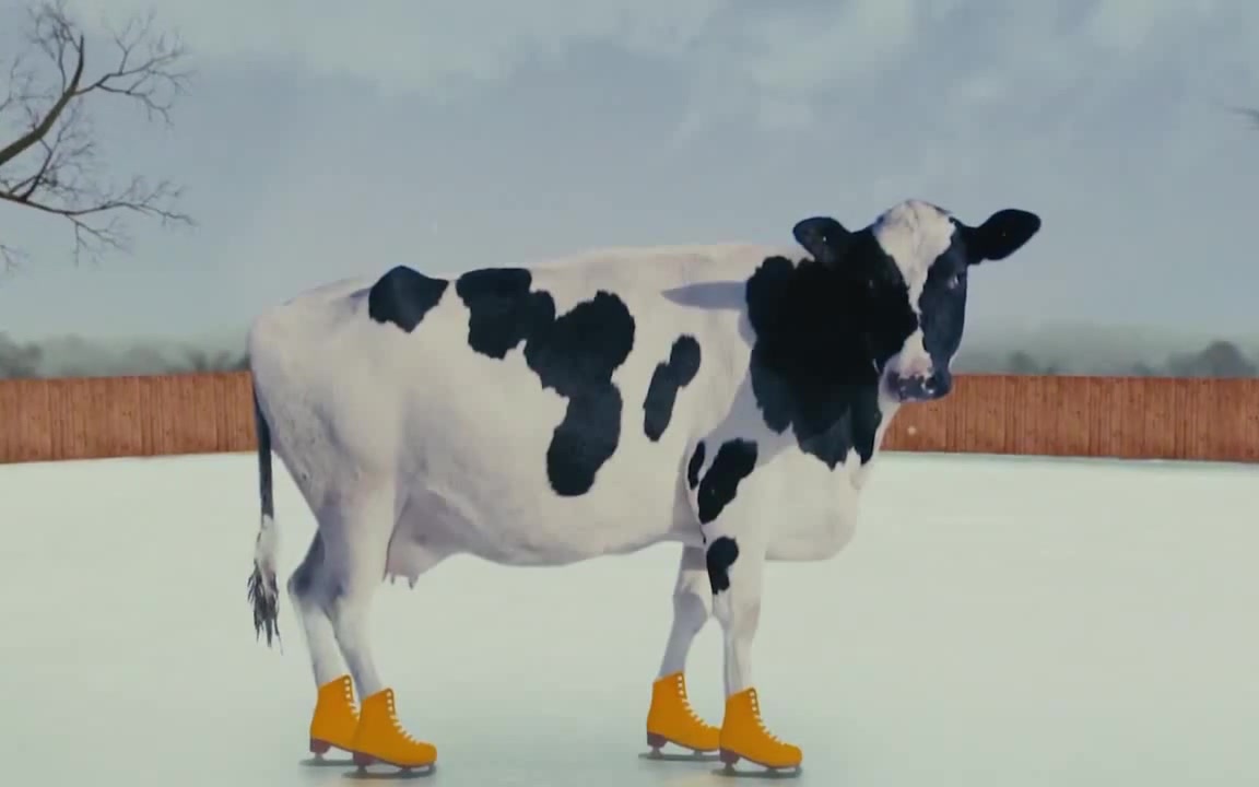 free cow program on ice / произвольная программа "корова на льду" - Coub
