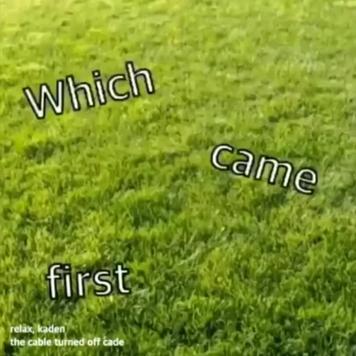 Which came first the chicken or the egg? - Coub