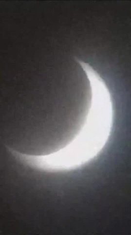 𝕹𝖔 𝕱𝖚𝖙𝖚𝖗𝖊 - Coub