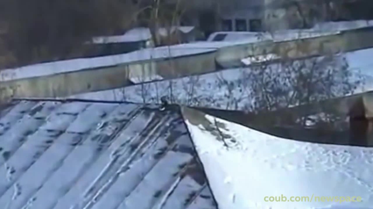 Renegade Master - Coub