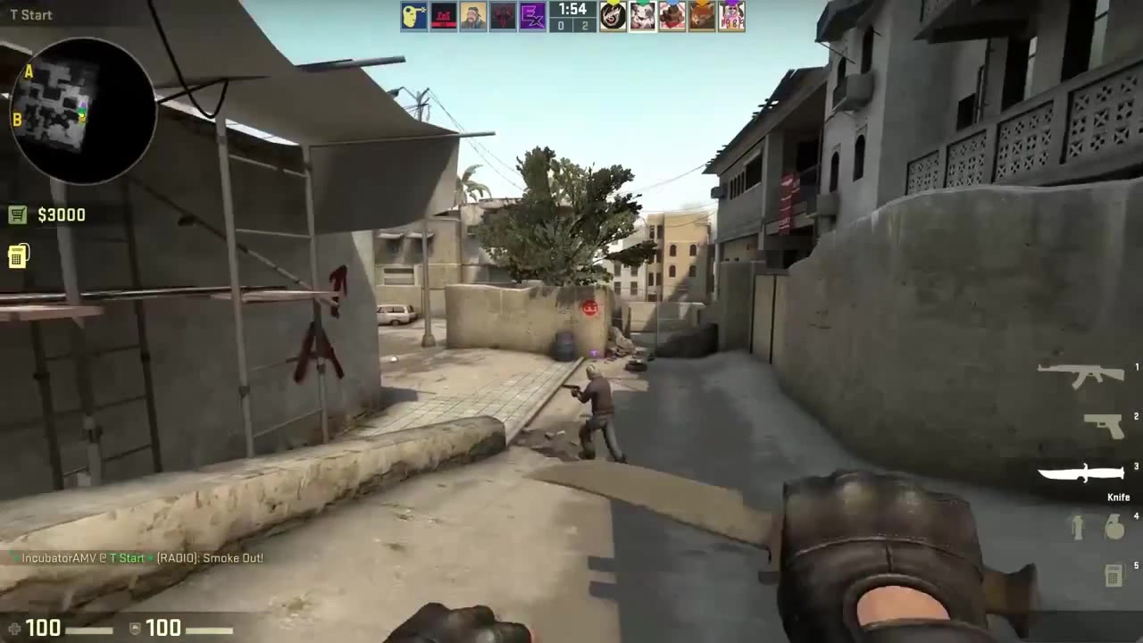 It's just scientific (CS:GO Funny Moments) - Coub