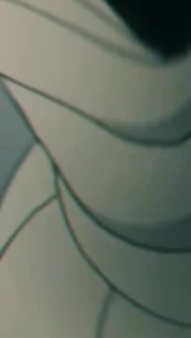 𝓣𝓱𝓮 𝓓𝓮𝓪𝓭 𝓦𝓸𝓻𝓵𝓭 - Coub