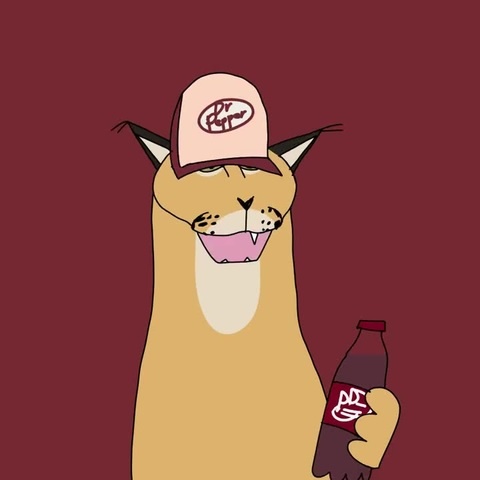 cat soda - Coub