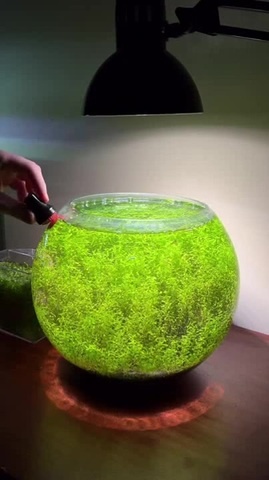 amazing - Coub